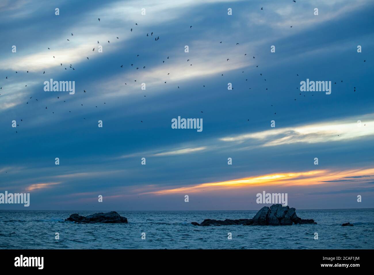 Sunset skies over the Gulf of Saint Lawrence, Mainland, Newfoundland ...