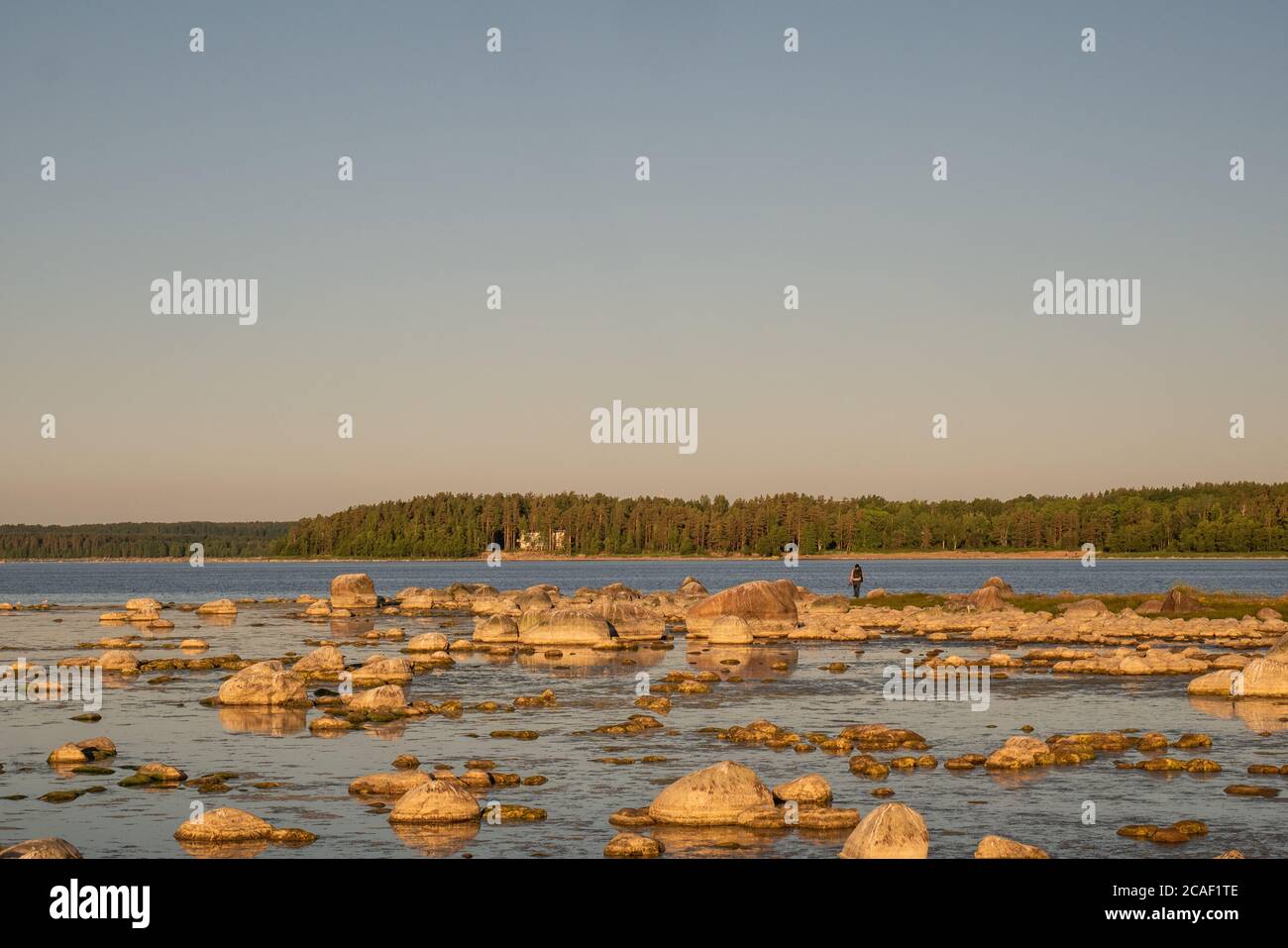 Beautiful ocean coast with myriad stones Stock Photo - Alamy
