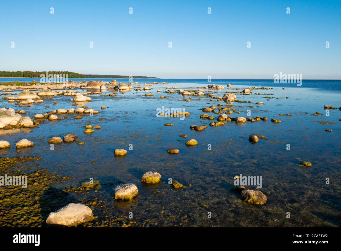 Beautiful ocean coast with myriad stones Stock Photo - Alamy