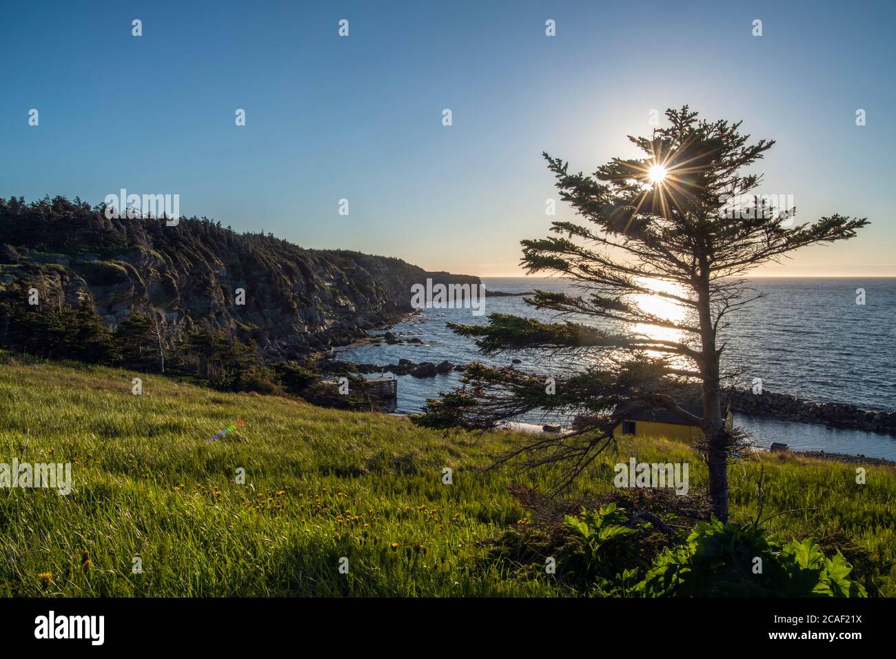 Gulf of Saint Lawrence coastline, Gros Morne National Park ...