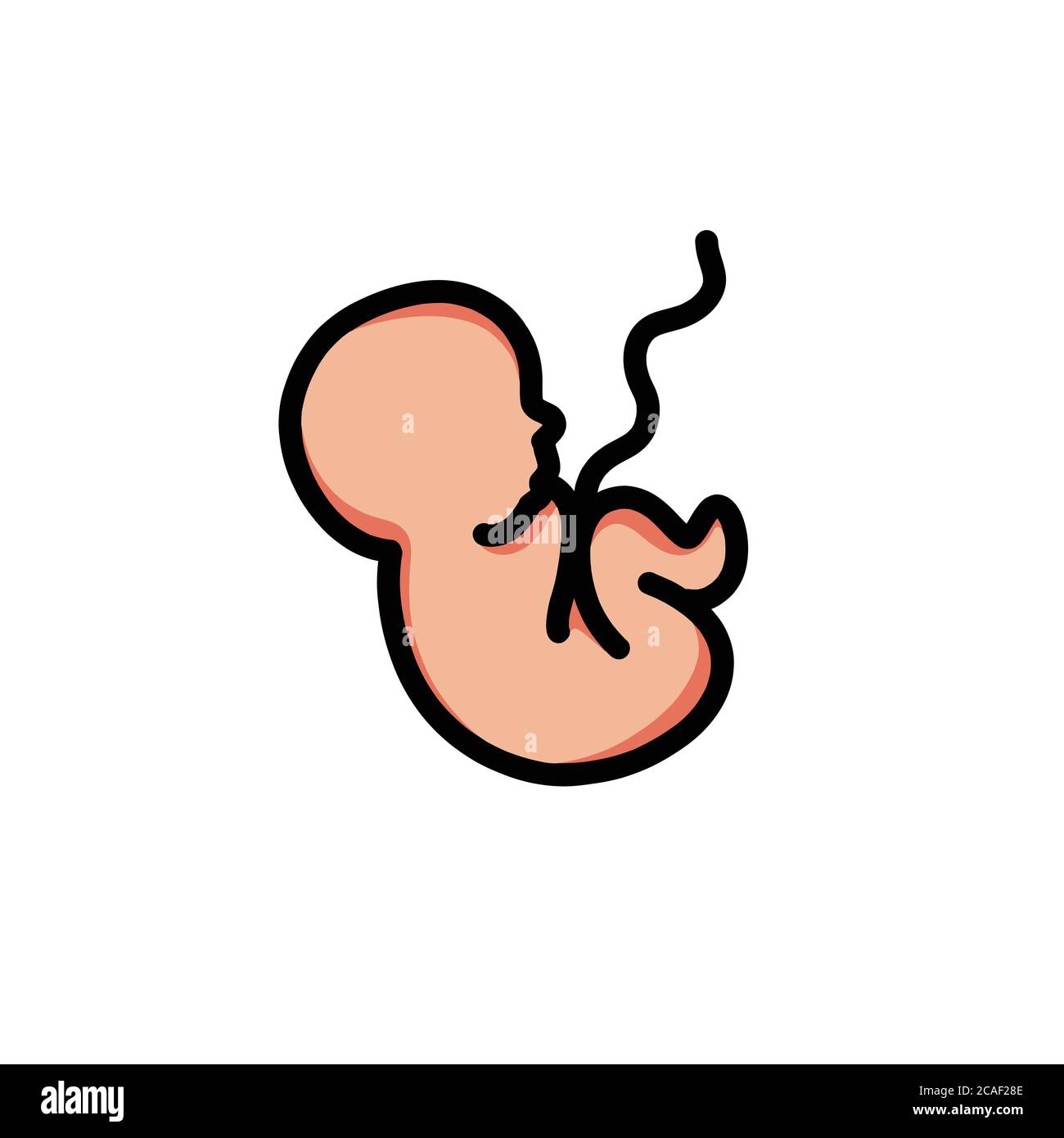 Womb Baby Drawing High Resolution Stock Photography and Images - Alamy
