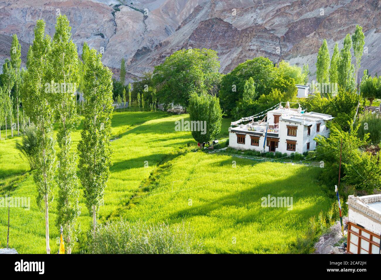 Ladakh, India - Chilling Village in Leh, Ladakh, Jammu and Kashmir ...