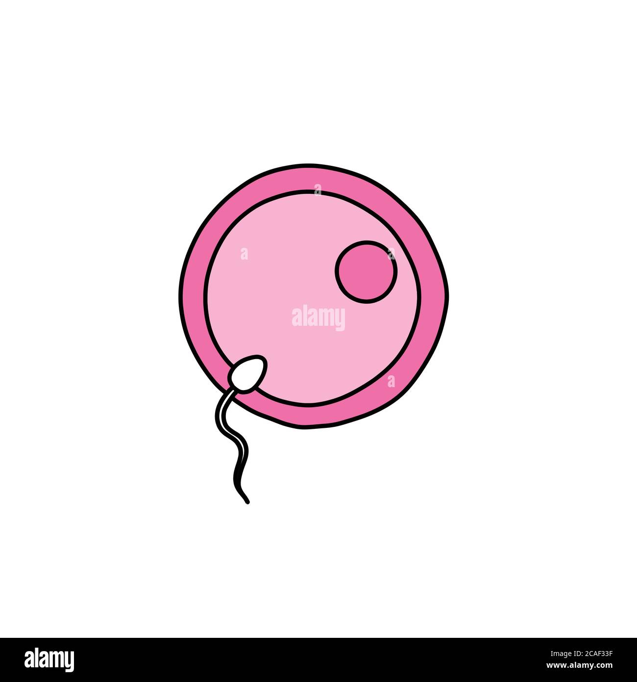 ovum fertilization doodle icon, vector color illustration Stock Vector ...