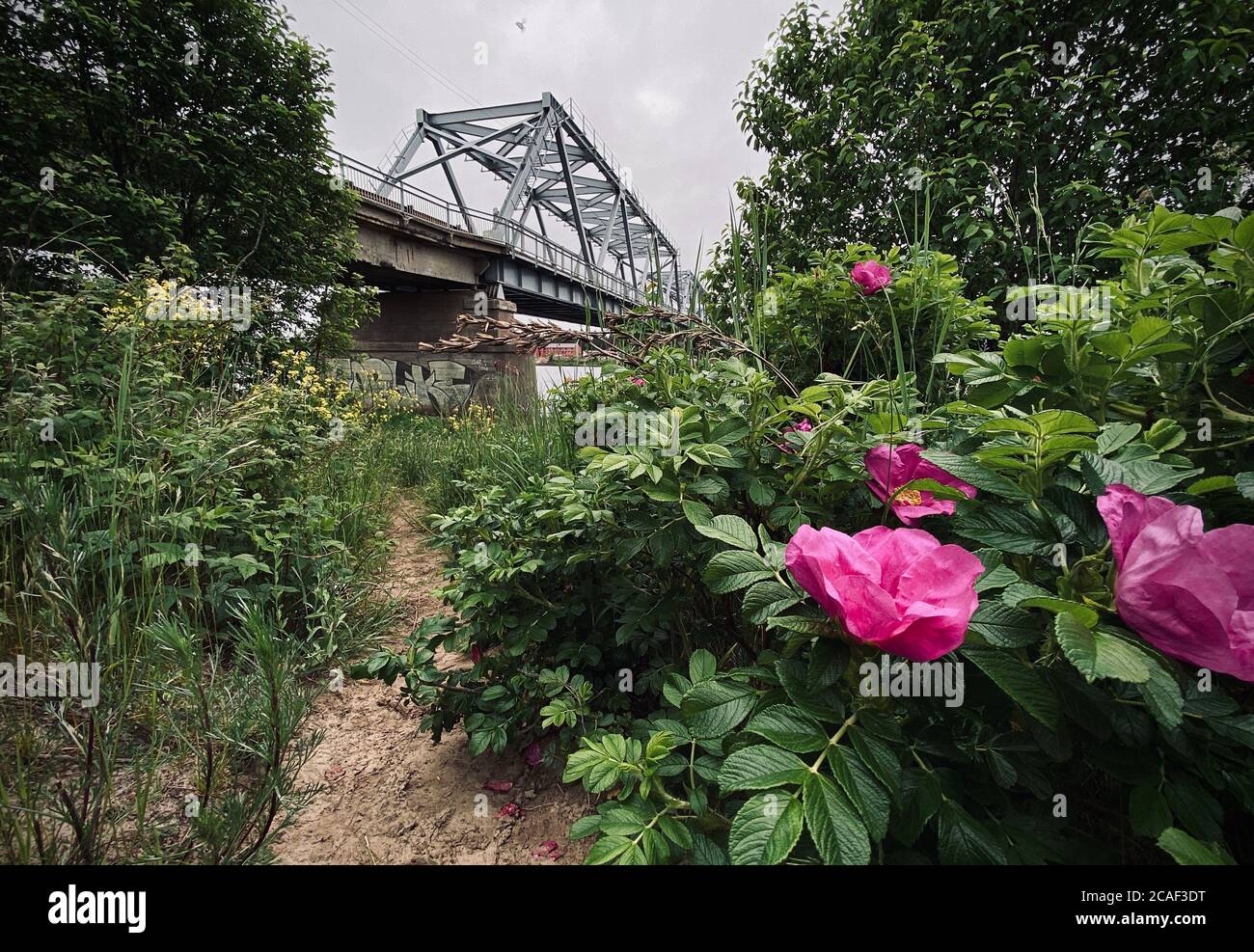 Wallpaper variety hi-res stock photography and images - Alamy