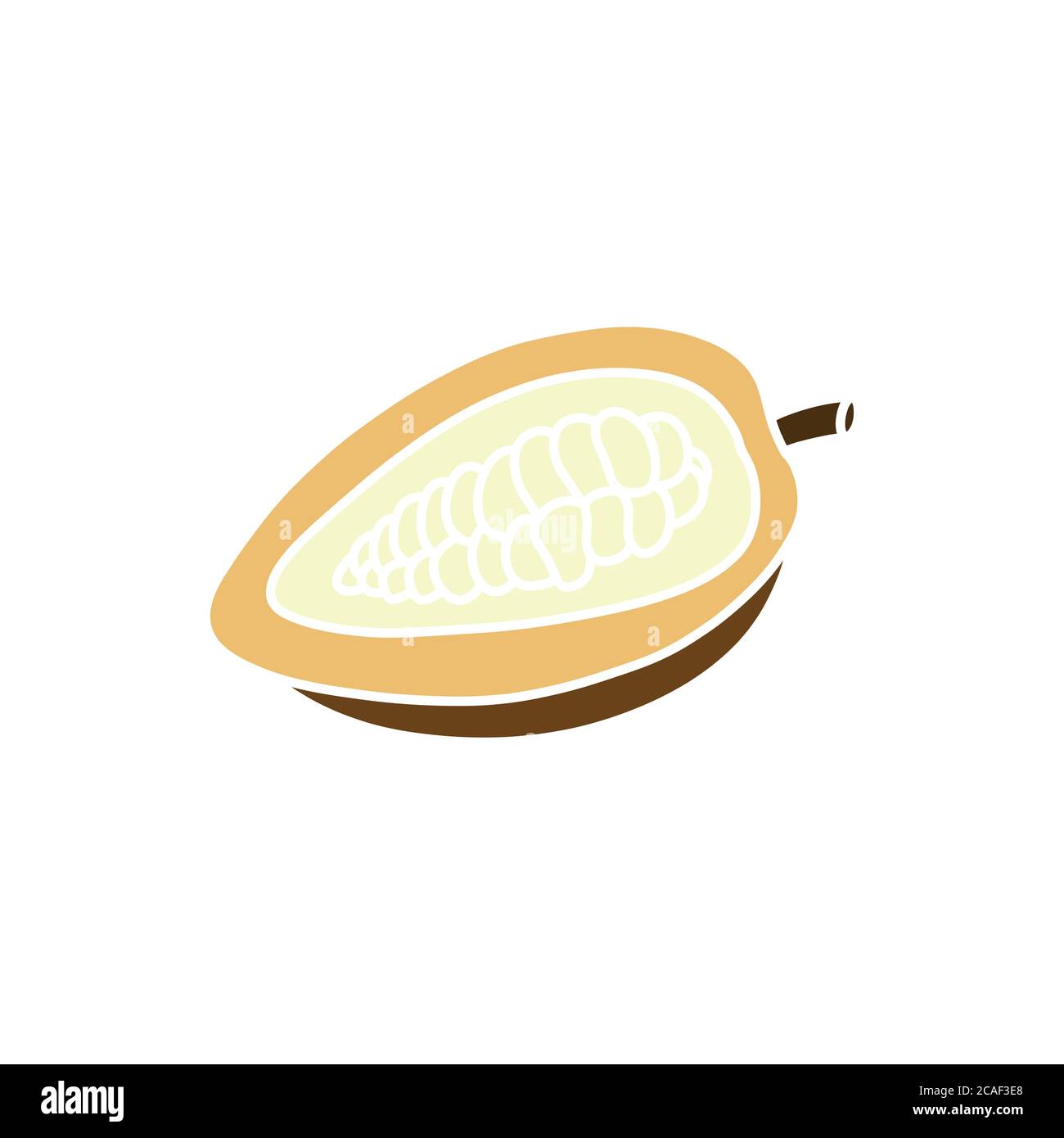 Red cocoa fruit pod Stock Vector Images - Alamy