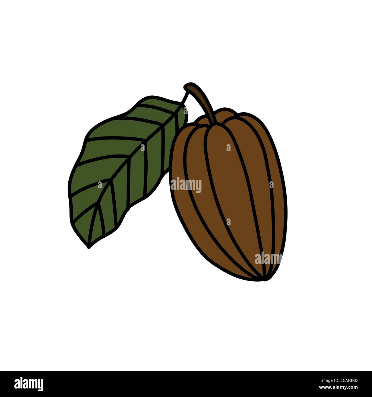 Red cocoa fruit pod Stock Vector Images - Alamy