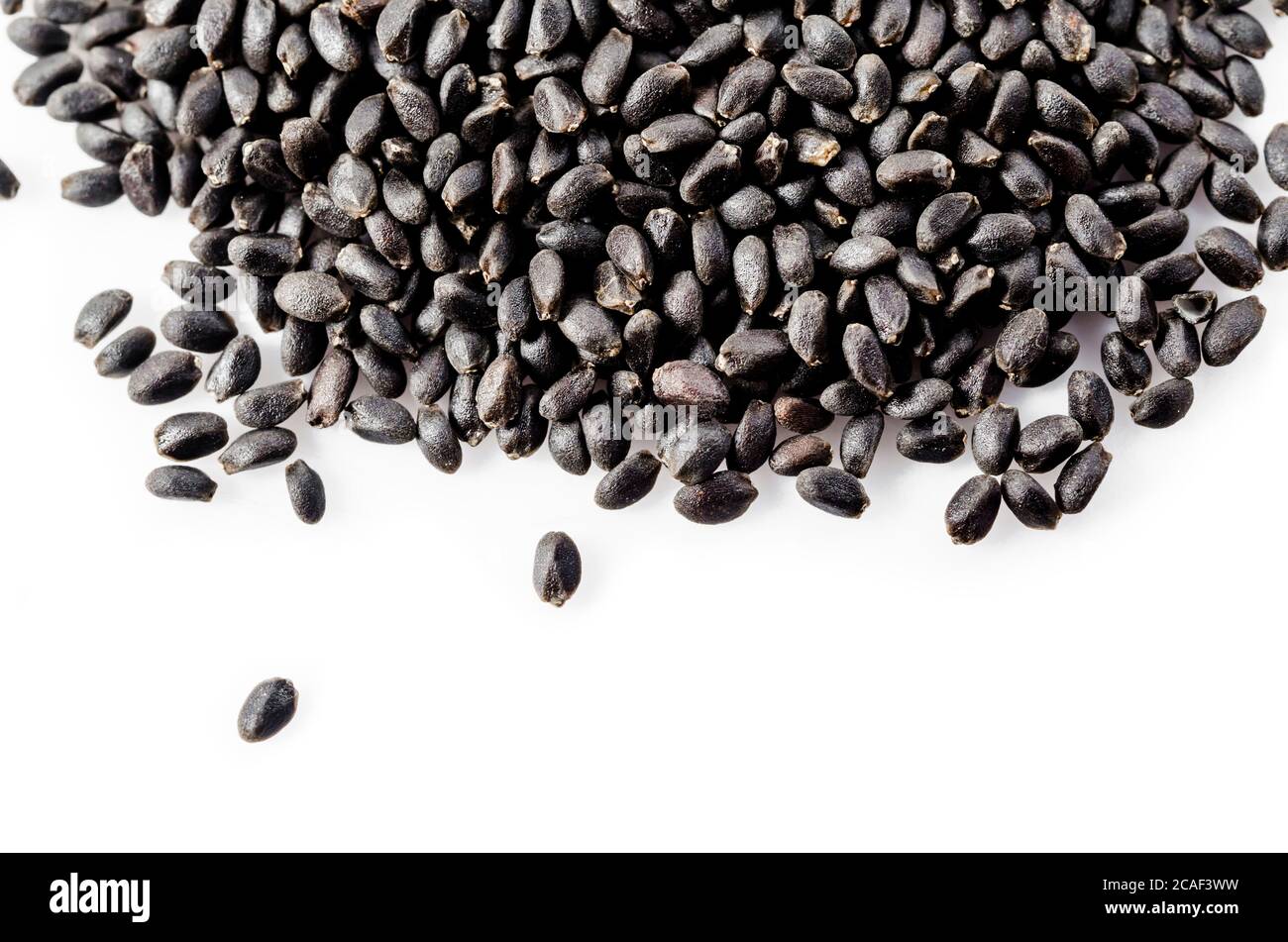 Hairy seeds on plant hi-res stock photography and images - Alamy