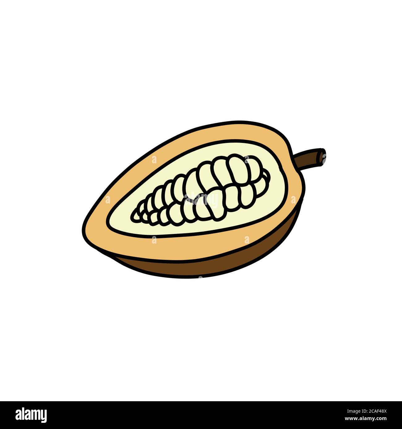 cacao fruit doodle icon, vector illustration Stock Vector Image & Art ...
