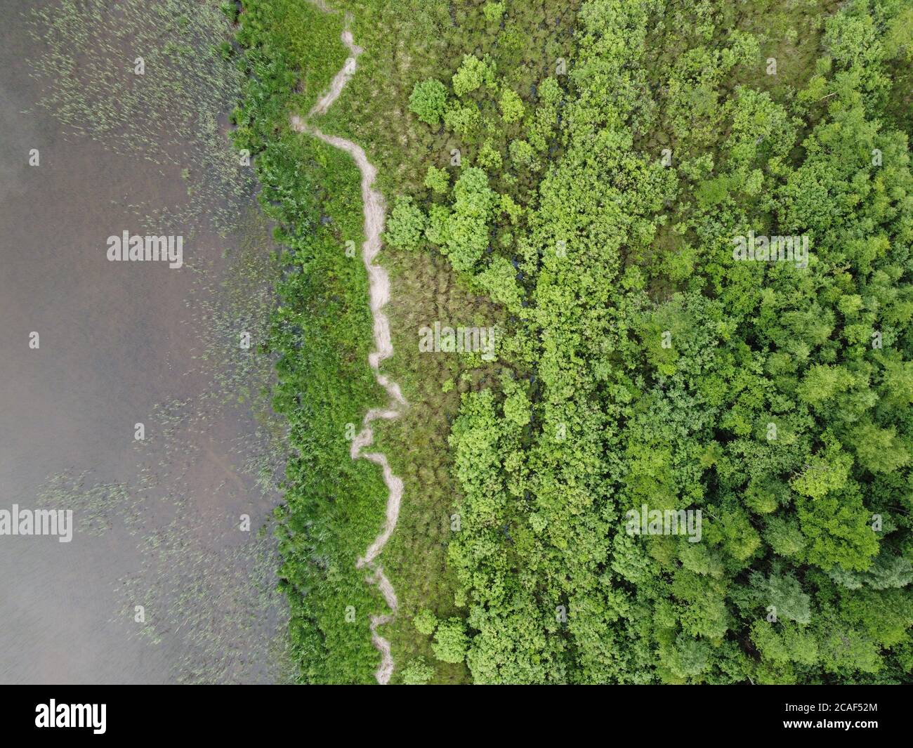 view of the green forest from above, aerial photography Stock Photo - Alamy