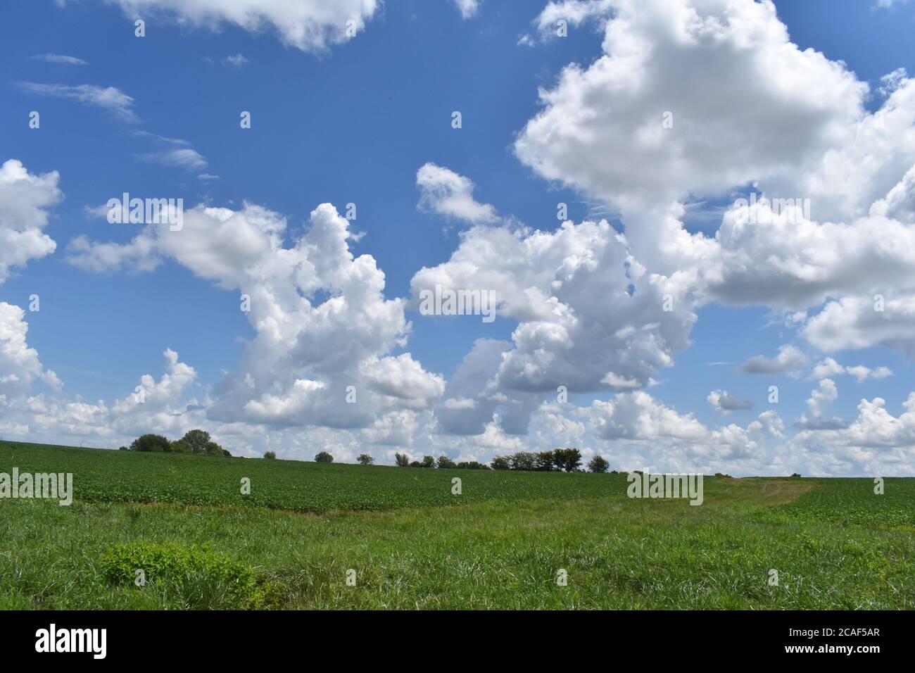 Cloudy sky farming hi-res stock photography and images - Alamy