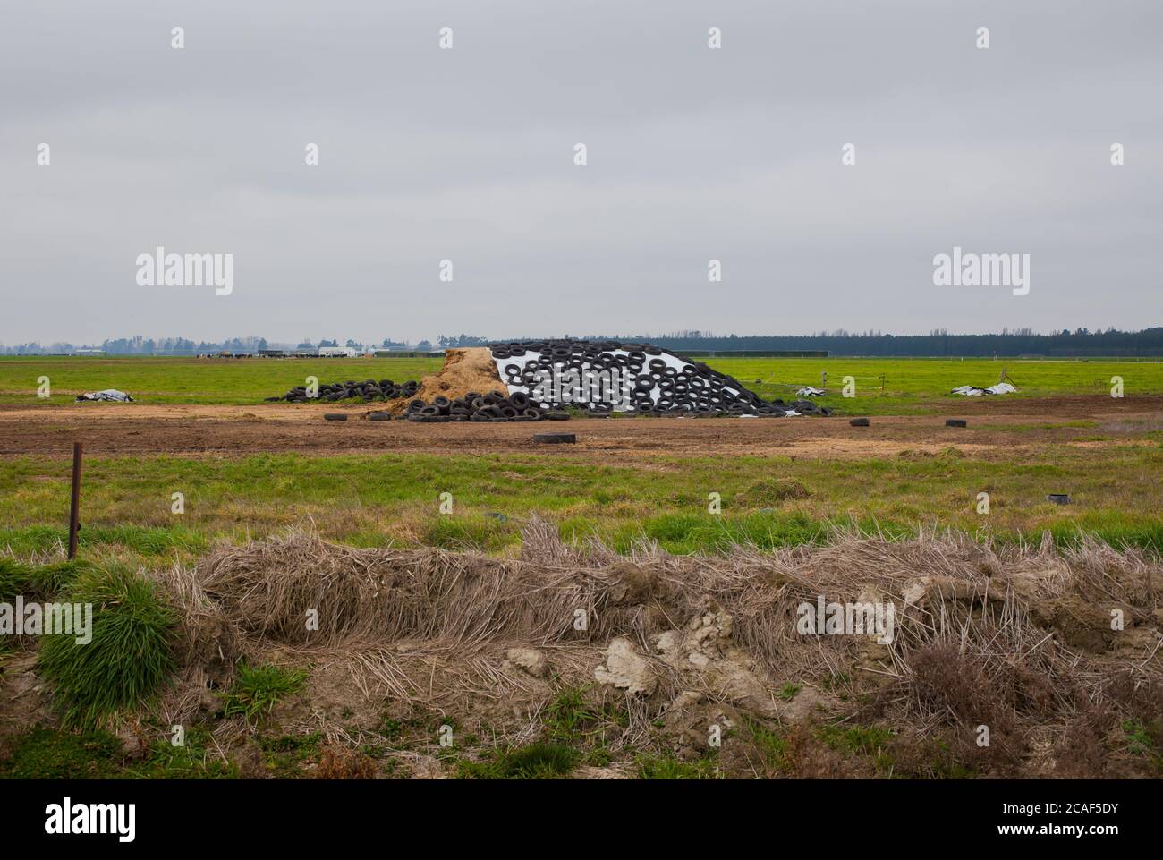 Silage Making High Resolution Stock Photography and Images - Alamy