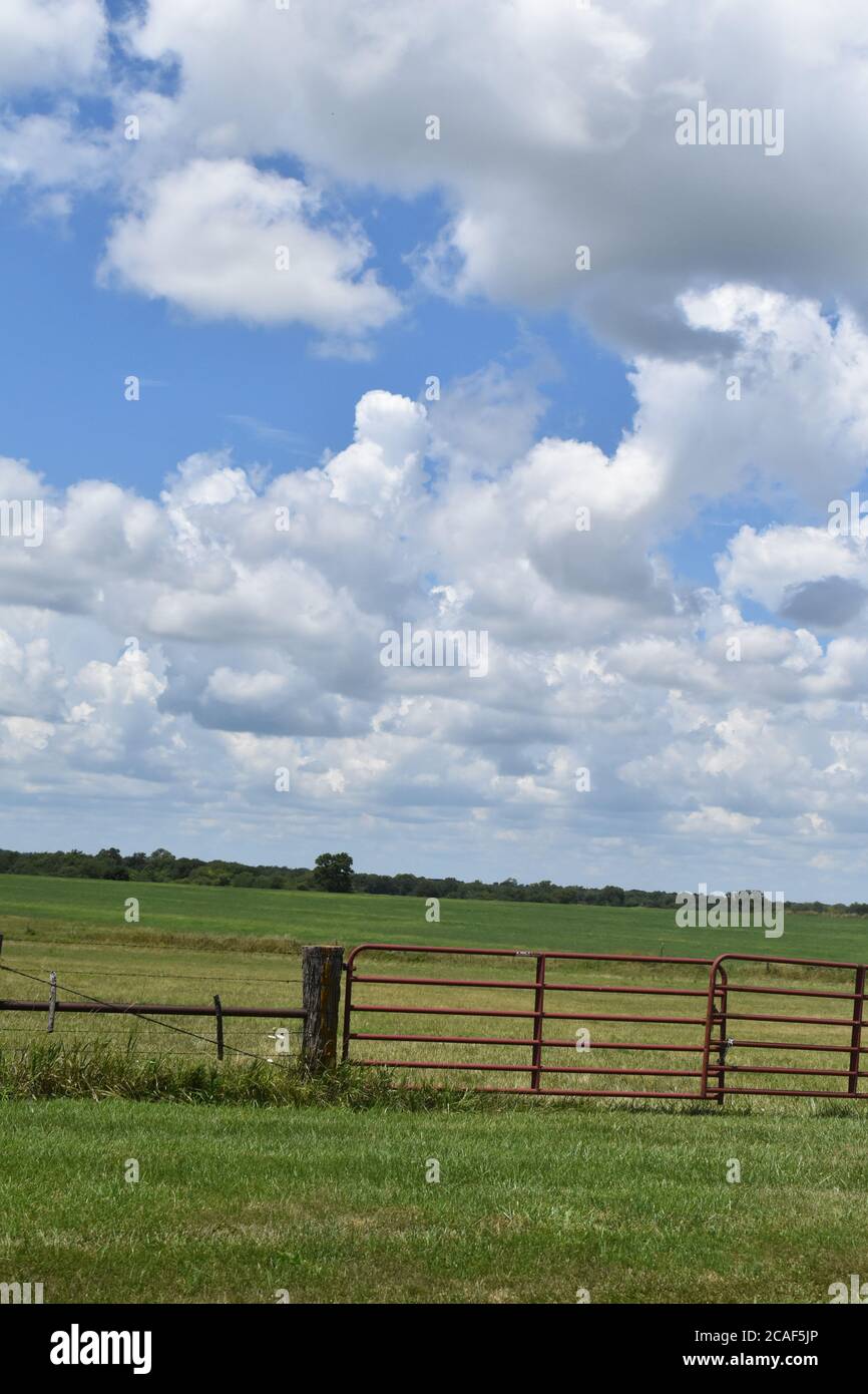 Farm Field Gate and Large Field Stock Photo - Alamy
