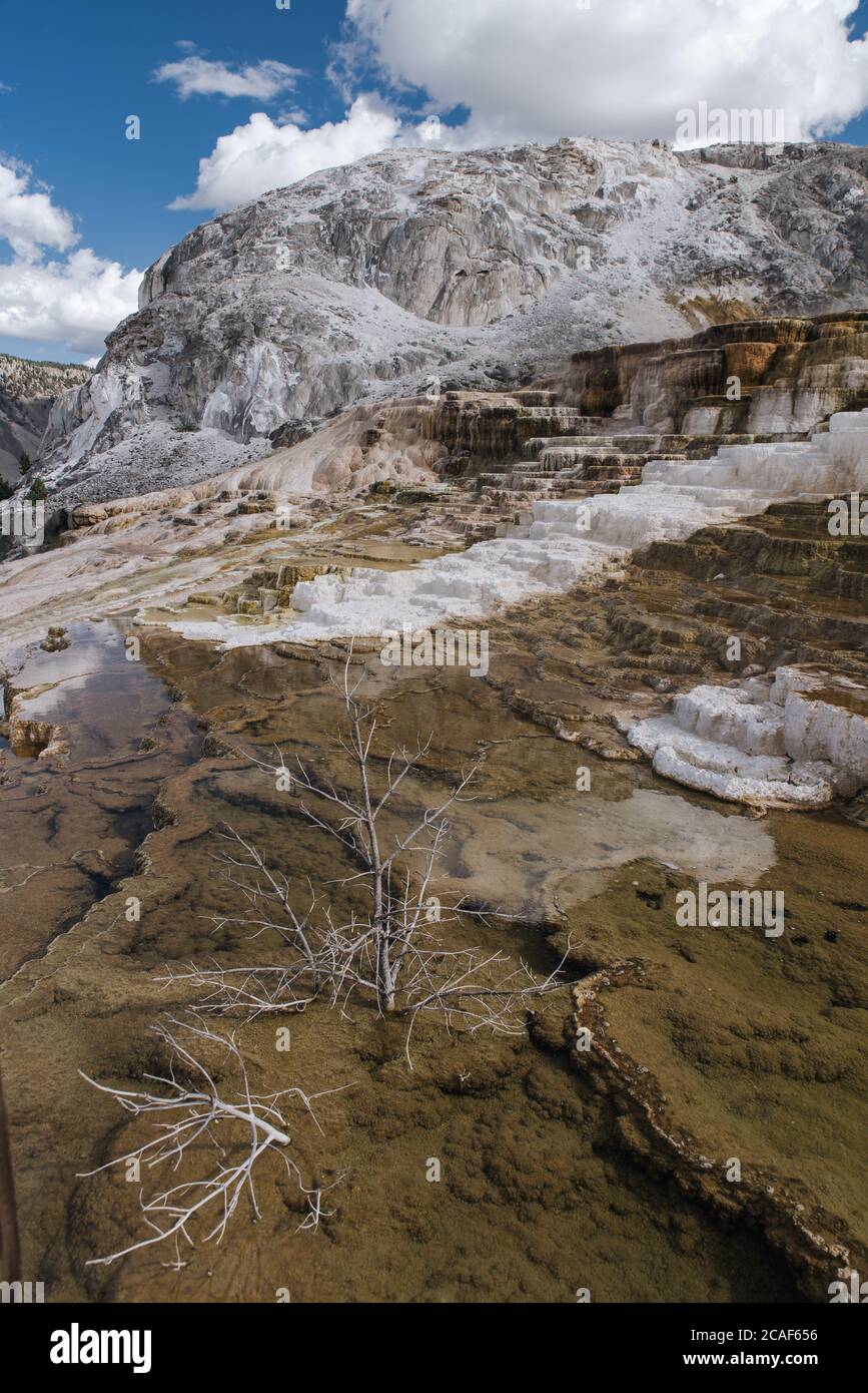 Vertical shot of Yellowstone National Park in Yellowstone, USA Stock ...