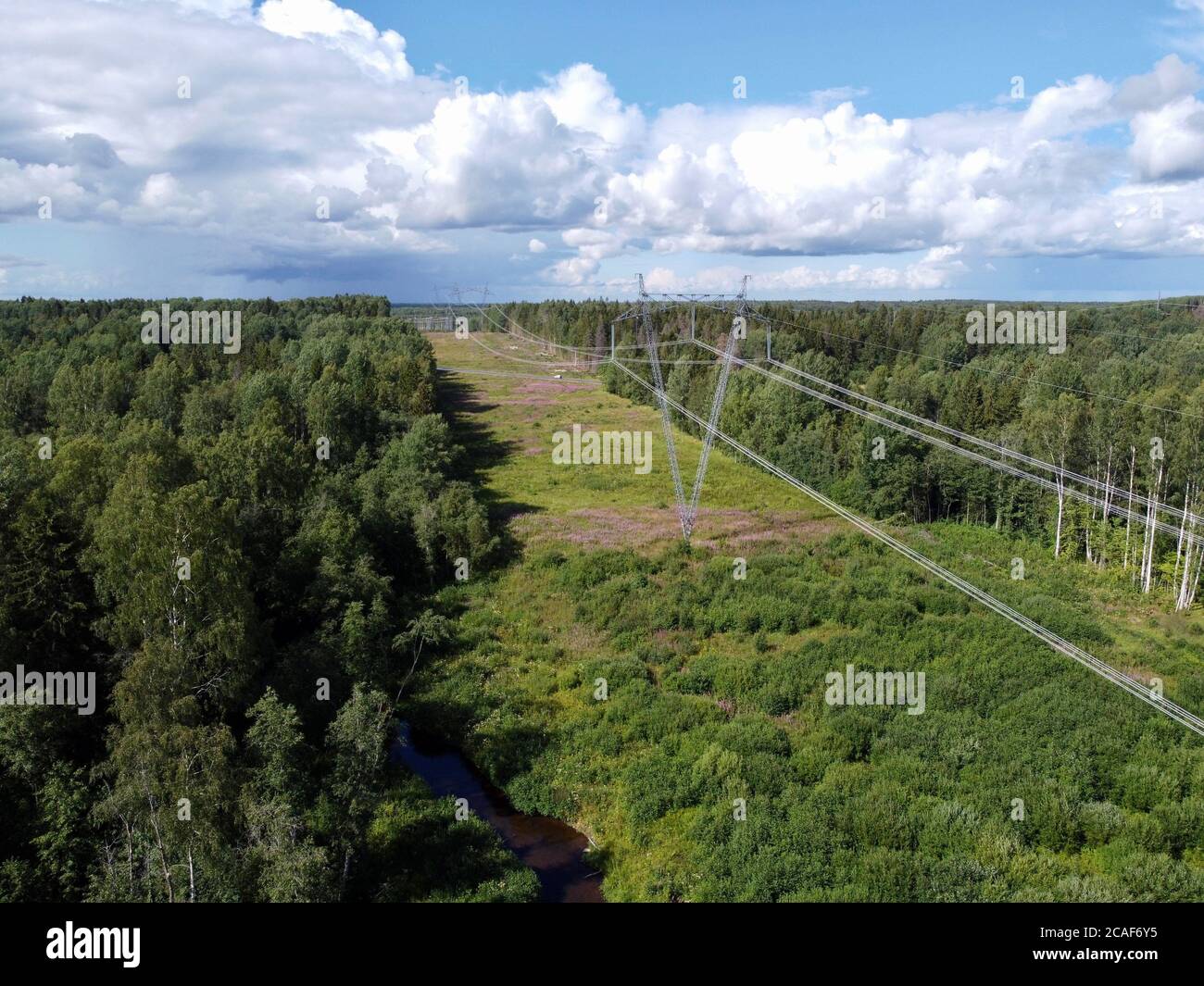 Aerial top down view of the power lines located in the forest Stock ...