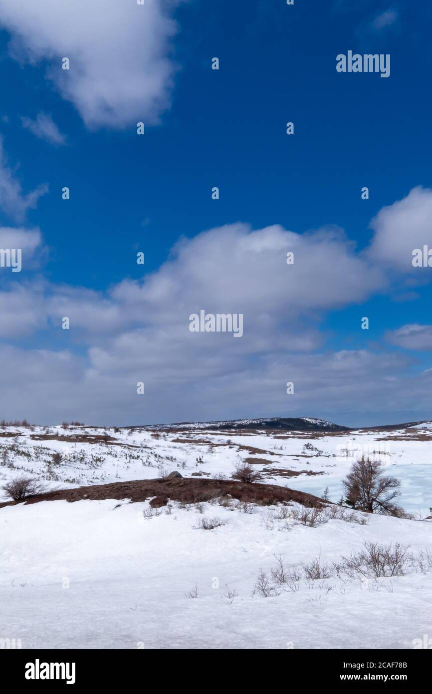 Barren mountain pasture hi-res stock photography and images - Alamy