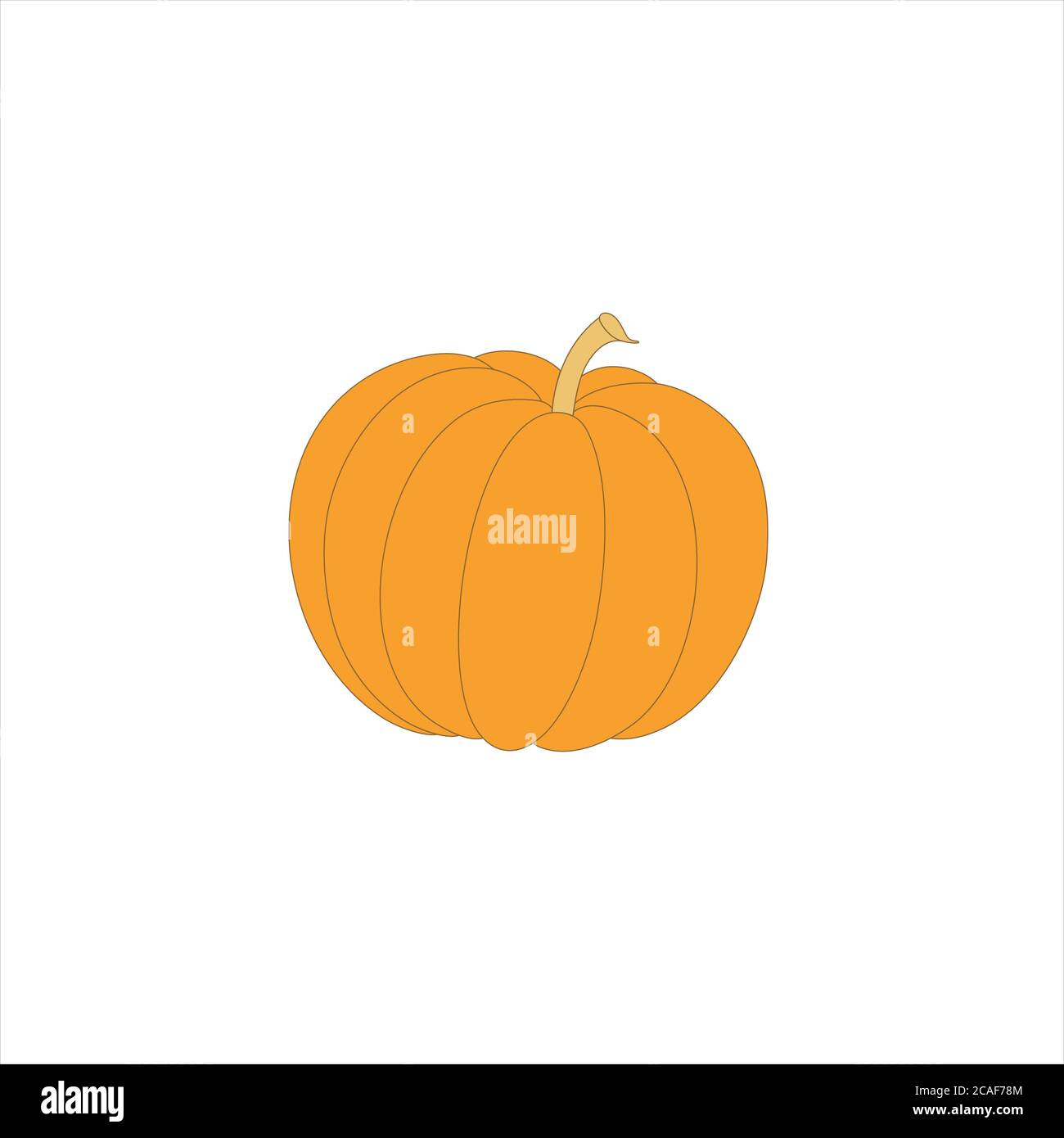 Orange pumpkin vector illustration. Isolated on white Stock Vector ...