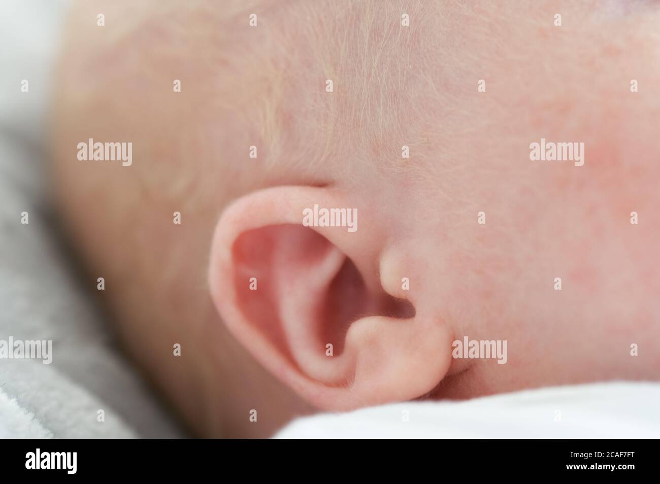 Closeup shot of newborn baby's ear Stock Photo - Alamy