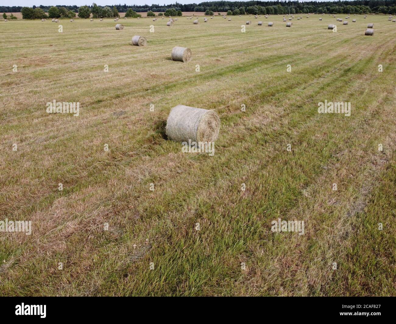 Aerial view of square hay bales in field after harvest Stock Photo - Alamy