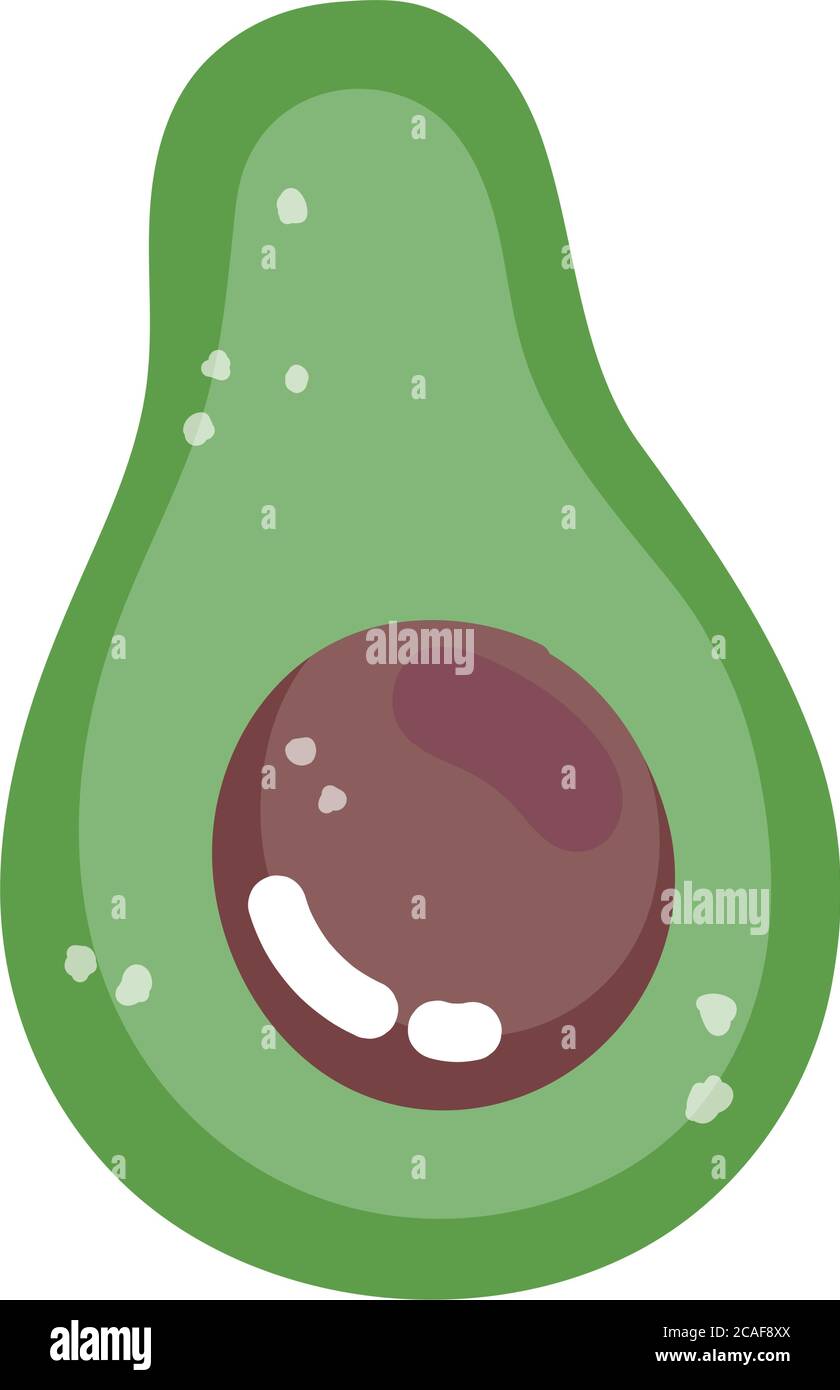 half avocado fruit fresh nutrition cartoon isolated icon white ...
