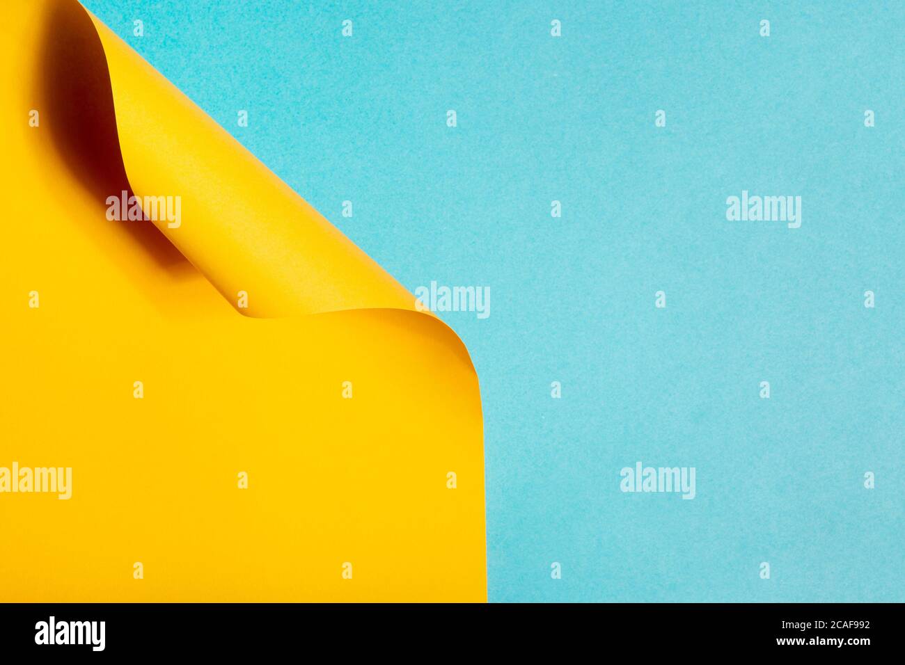 Half rolled document hi-res stock photography and images - Alamy