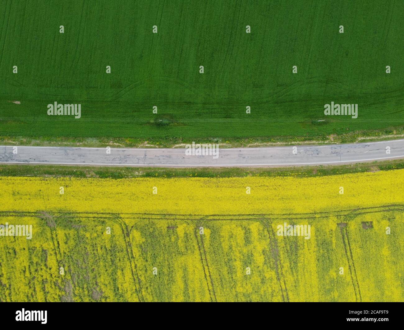Aerial view blooming rapeseed hi-res stock photography and images - Alamy