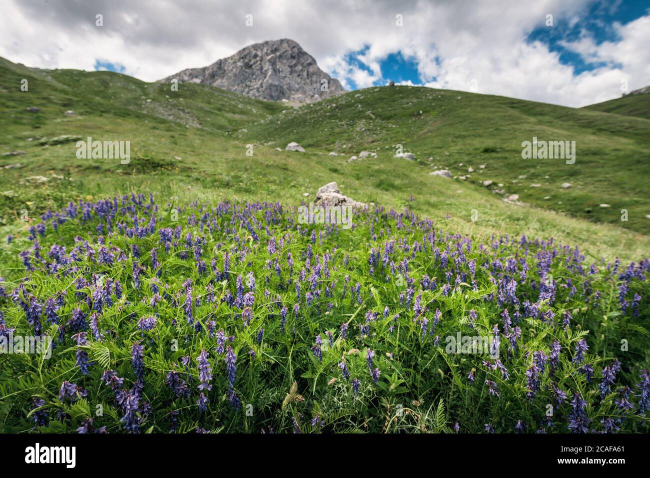 Pyramida peak at Mount Giona in Phocis, Central Greece Stock Photo - Alamy