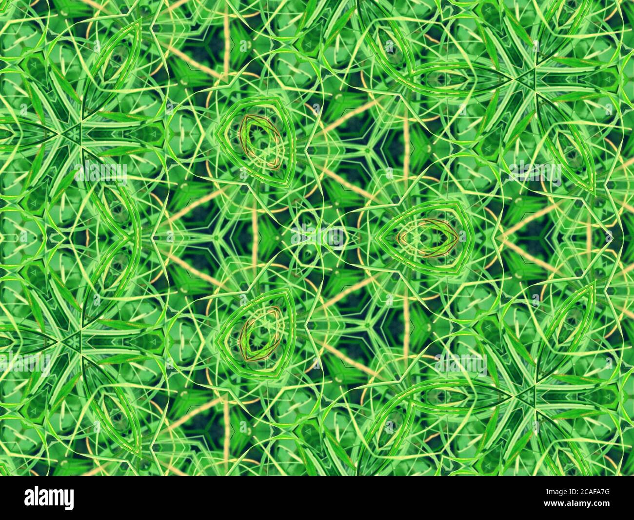 Abstract background with beautiful green patterns - perfect for ...