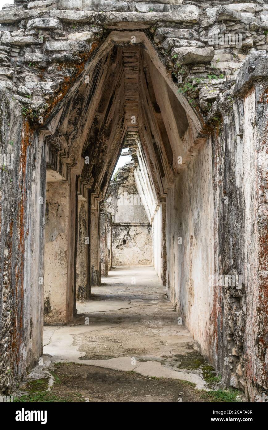 Corbelled vaults in the Palace in the ruins of the Mayan city of ...
