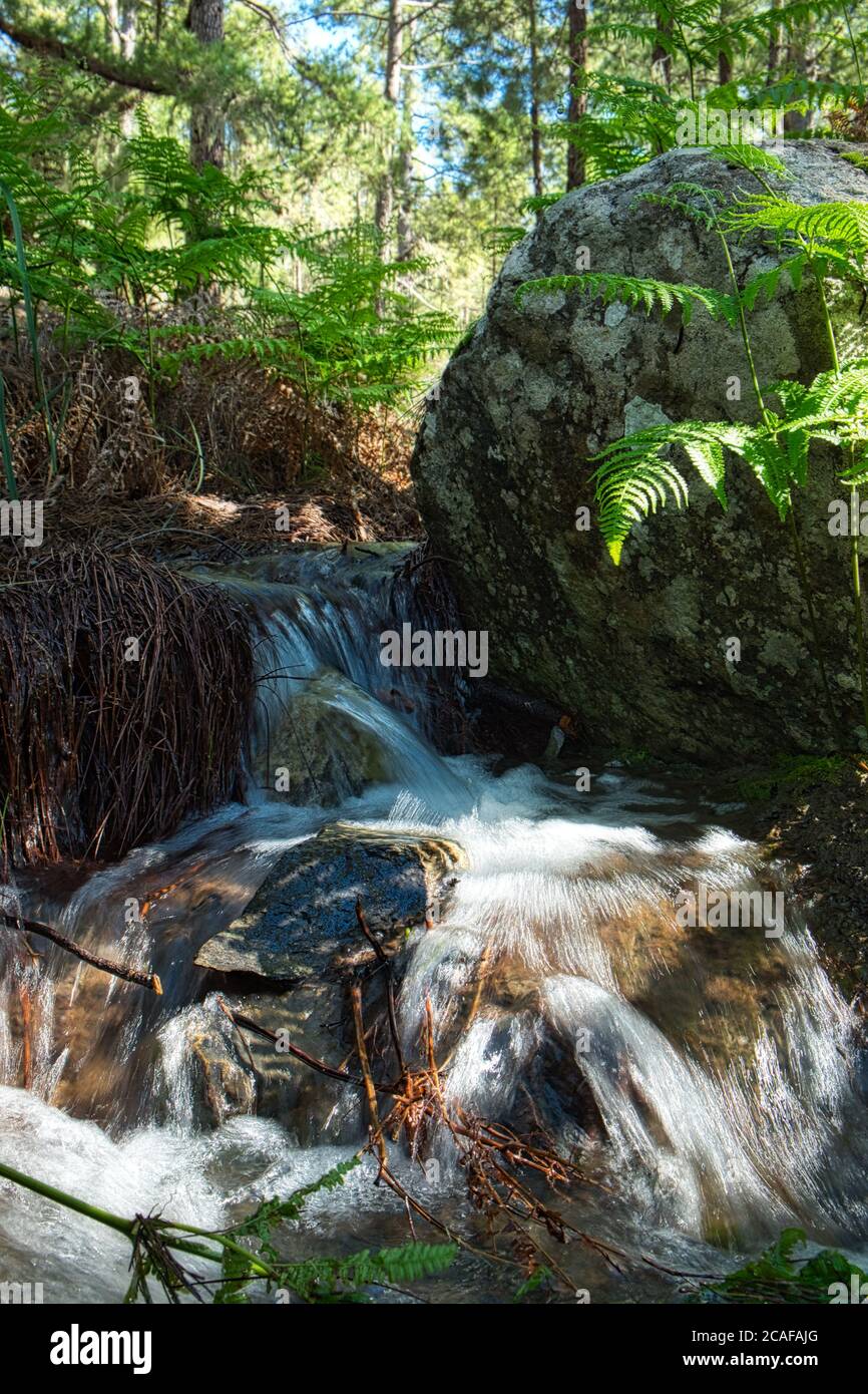Mesmerizing view of a stream of water flowing between the rocks Stock ...