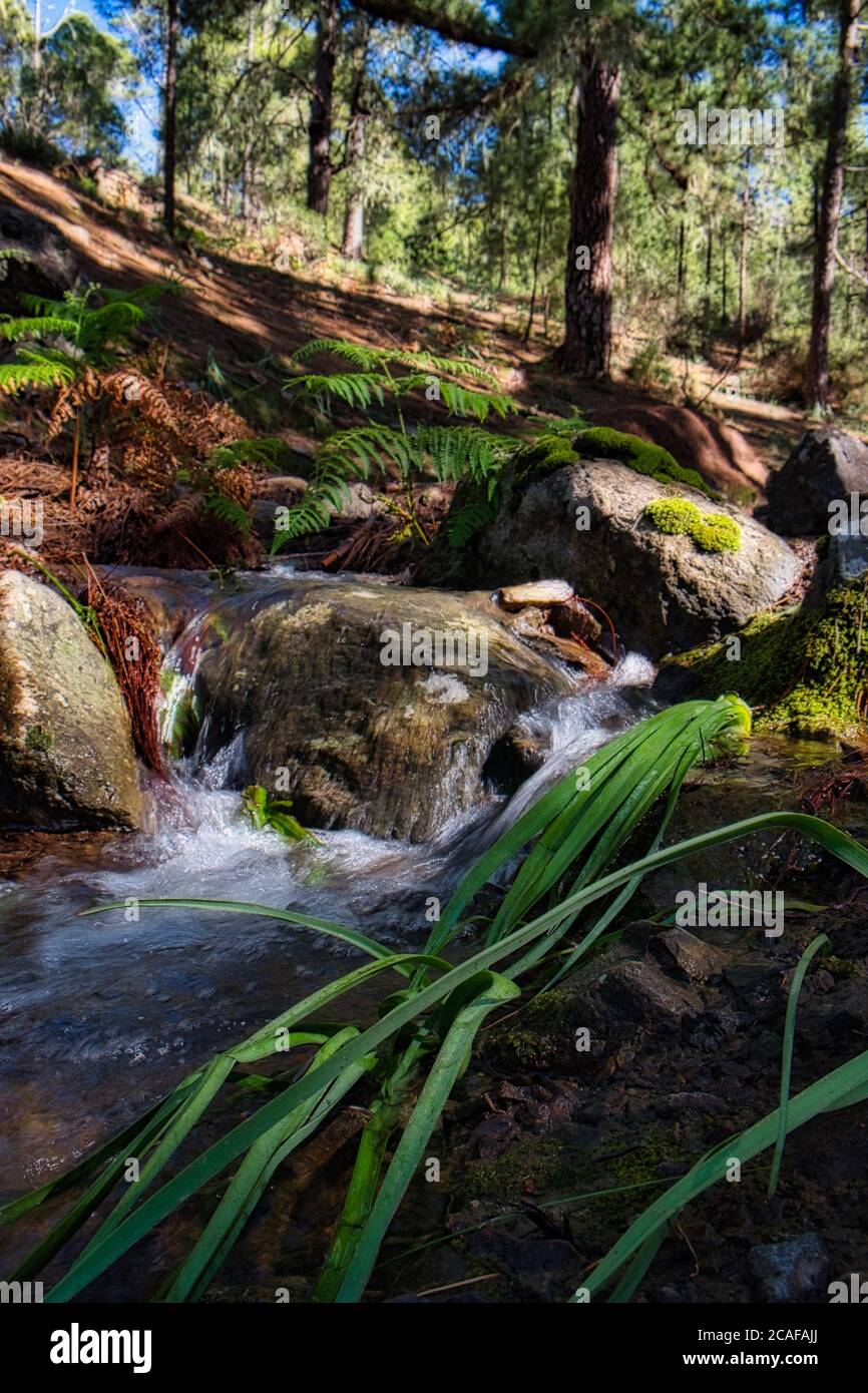 Mesmerizing view of a stream of water flowing between the rocks Stock ...