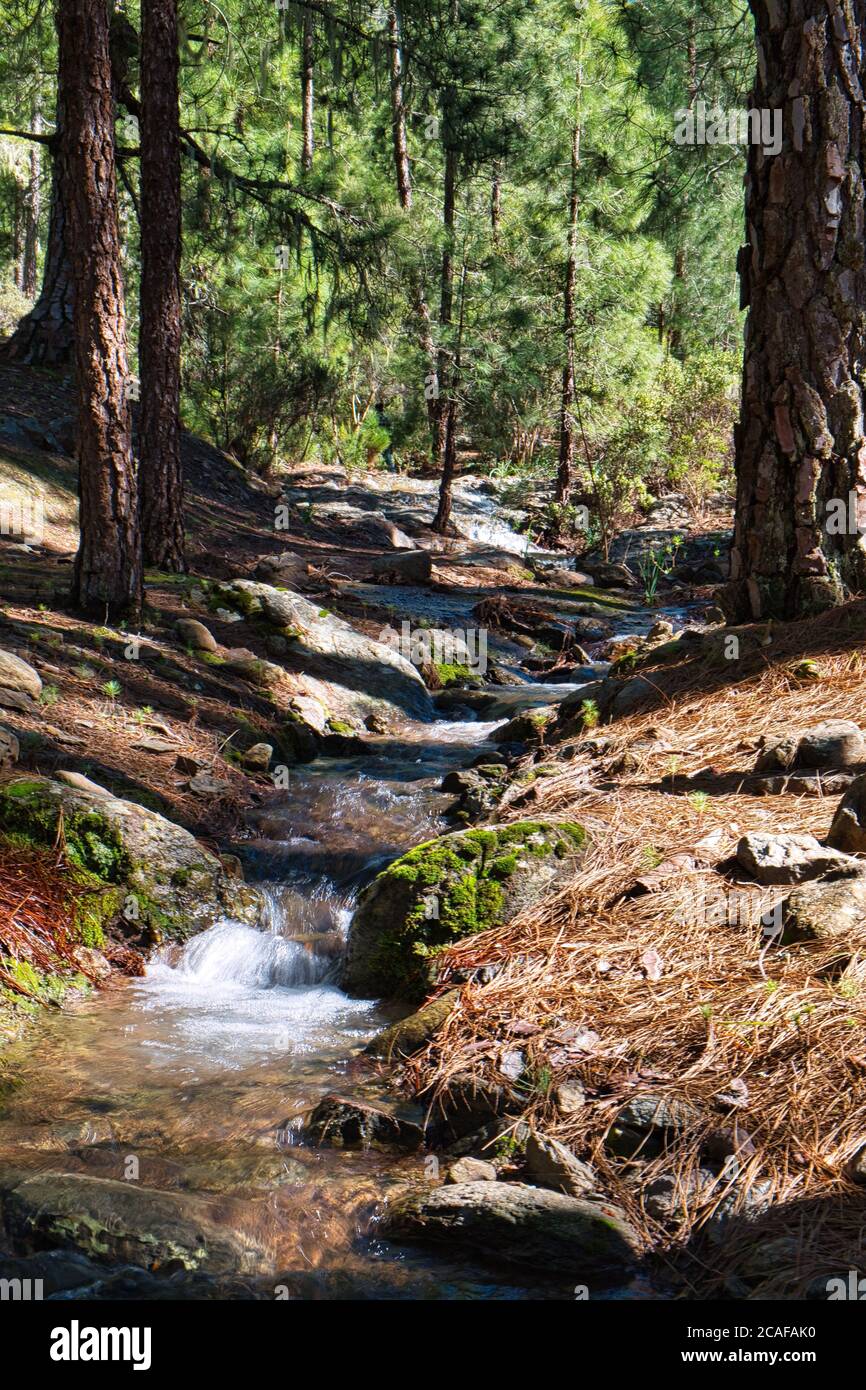Mesmerizing view of a stream of water flowing between the rocks Stock ...