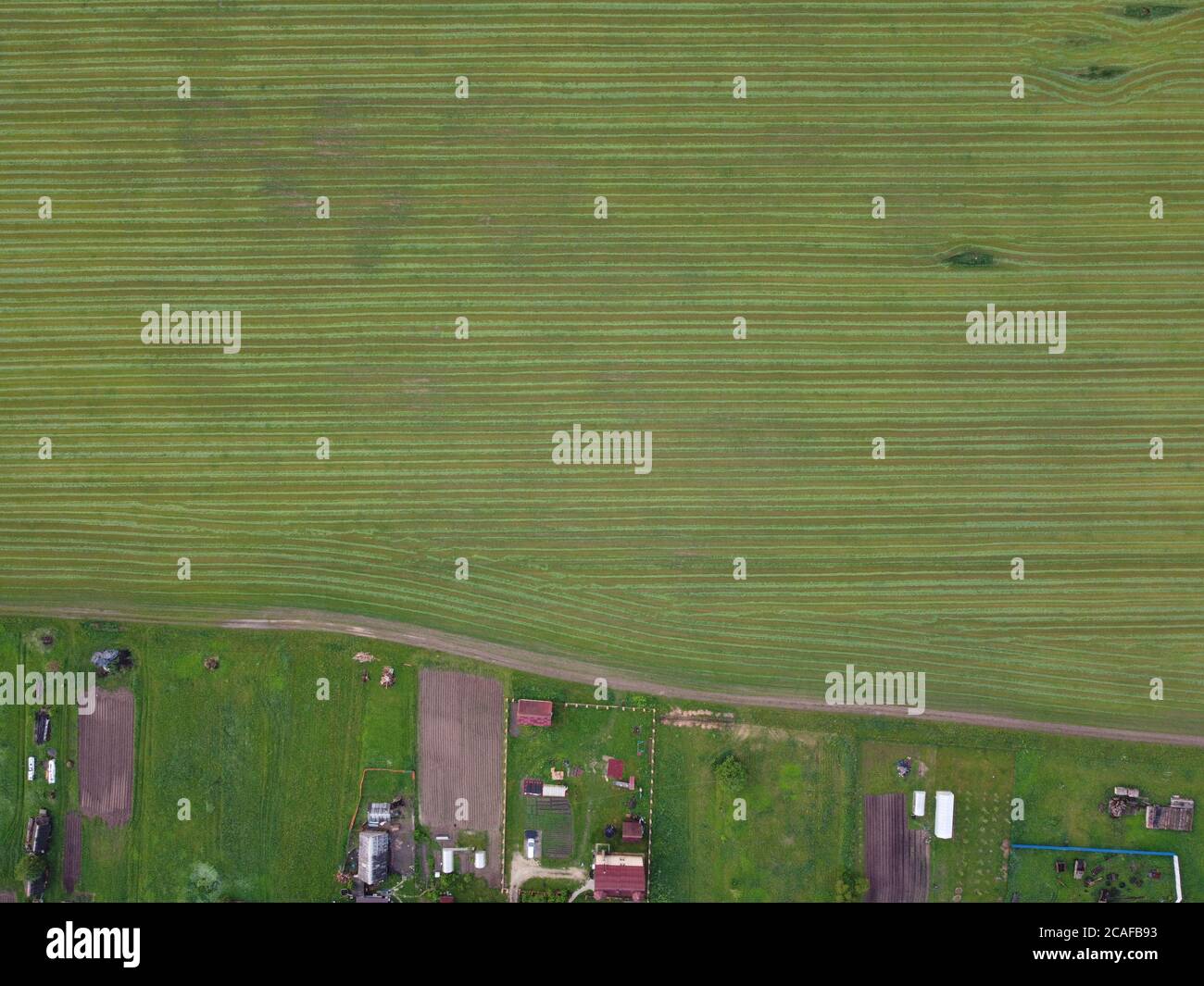 Aerial. Green grass texture background. Top view from drone Stock Photo ...