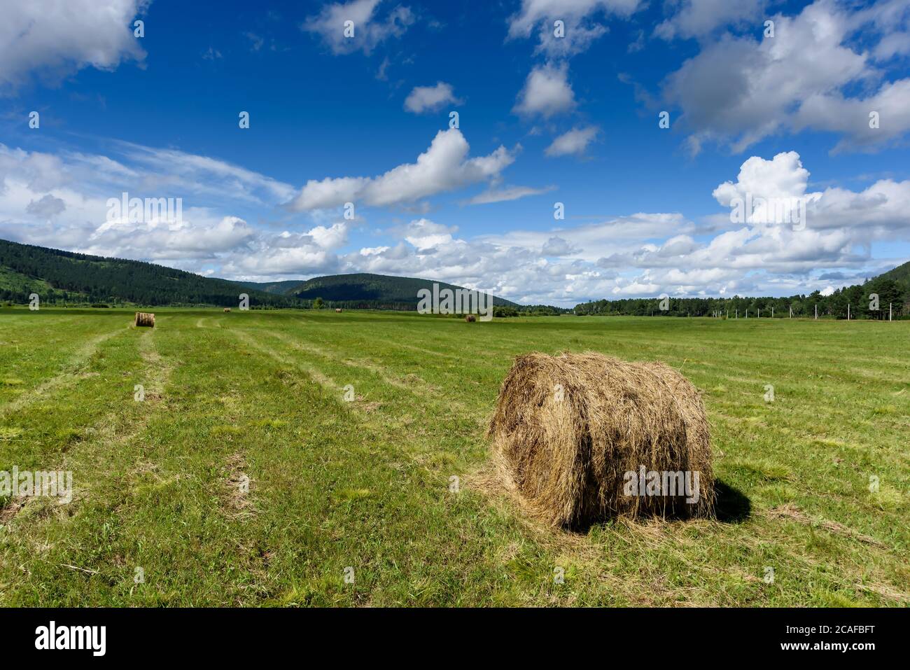 Rolls of haystacks on the field hi-res stock photography and images - Alamy