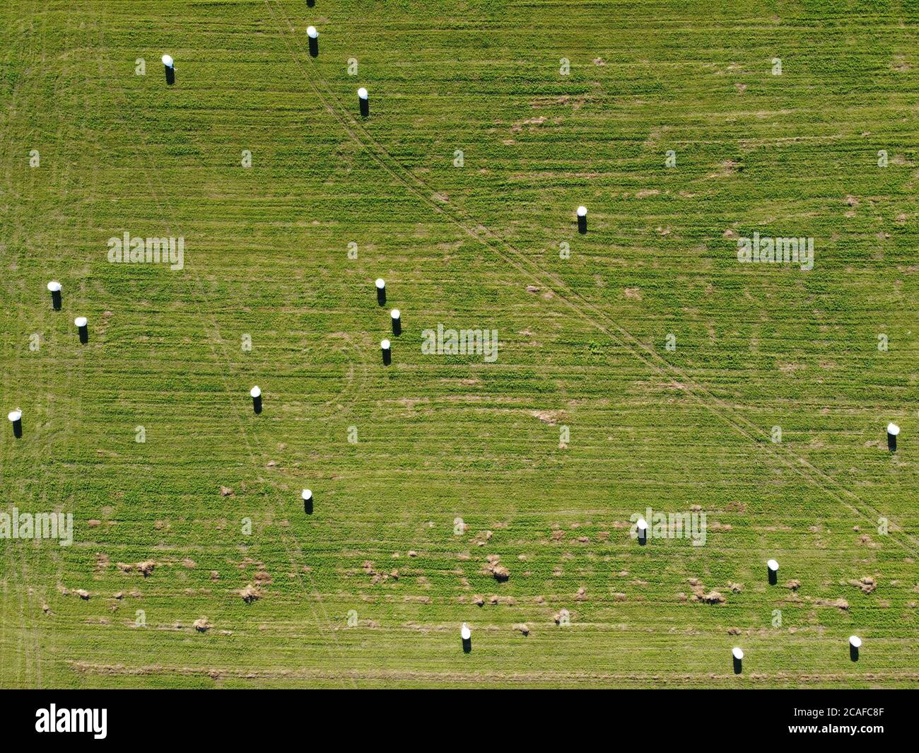 Square hay bales in field hi-res stock photography and images - Alamy