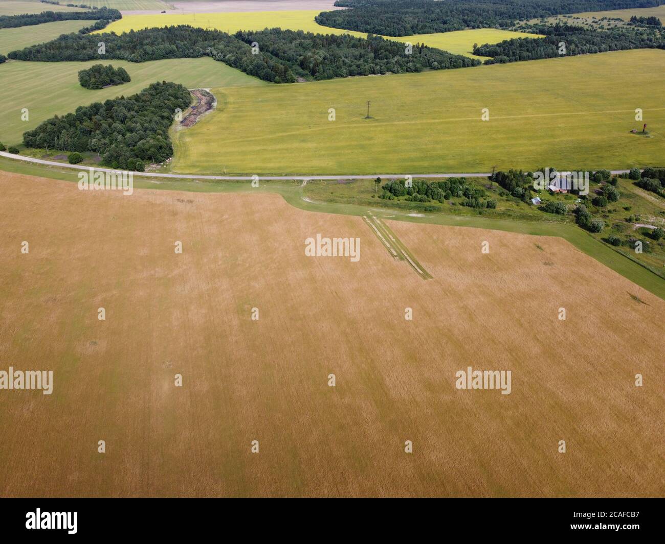 Golden hay field hi-res stock photography and images - Alamy