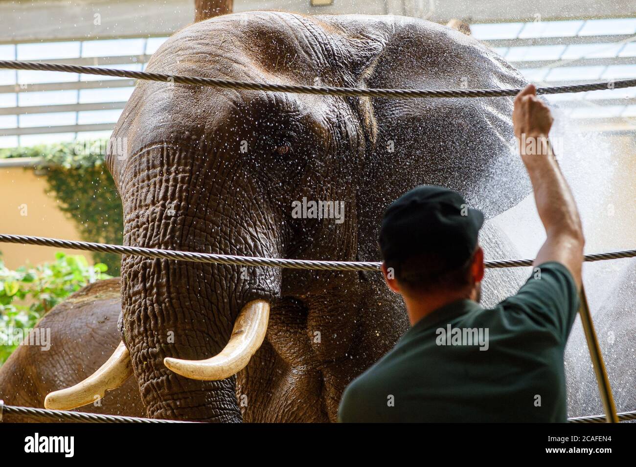 Gluch hi-res stock photography and images - Alamy