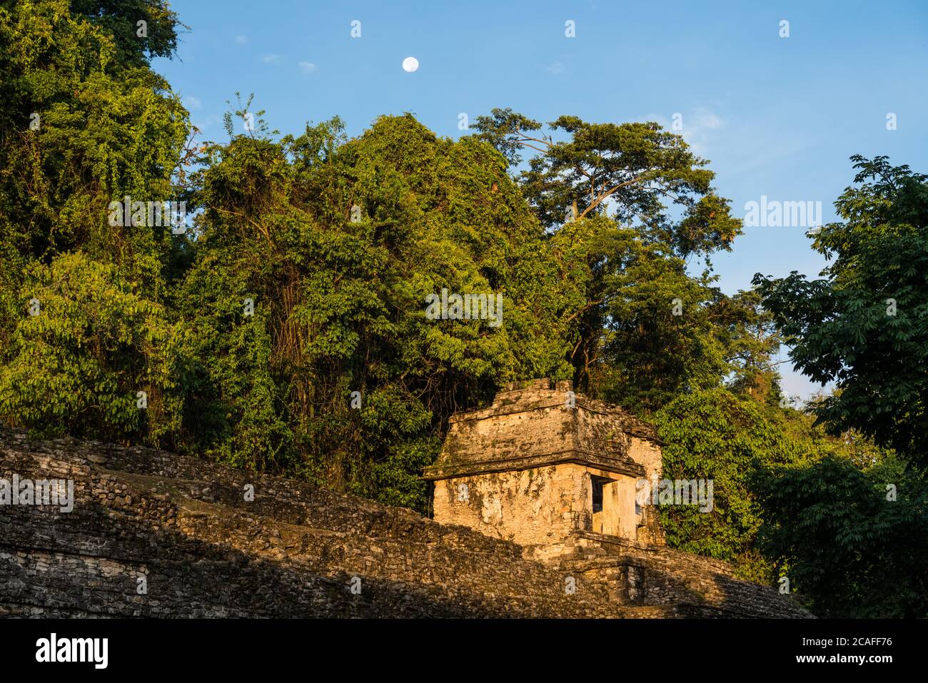 The Temple of the Skull, or Temple XII, in the ruins of the Mayan city ...