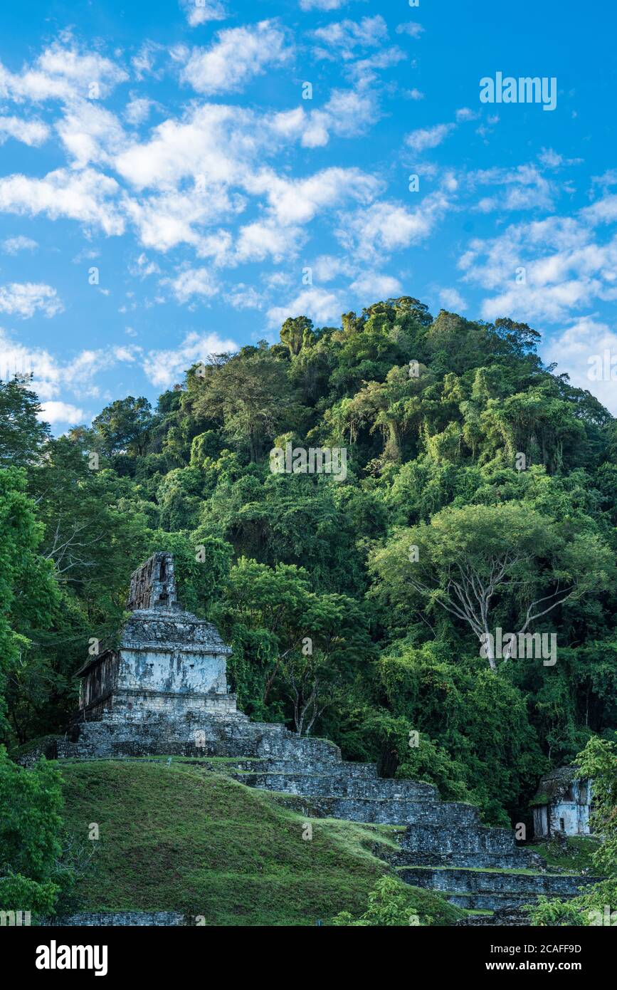 The Temple of the Cross in the ruins of the Mayan city of Palenque ...