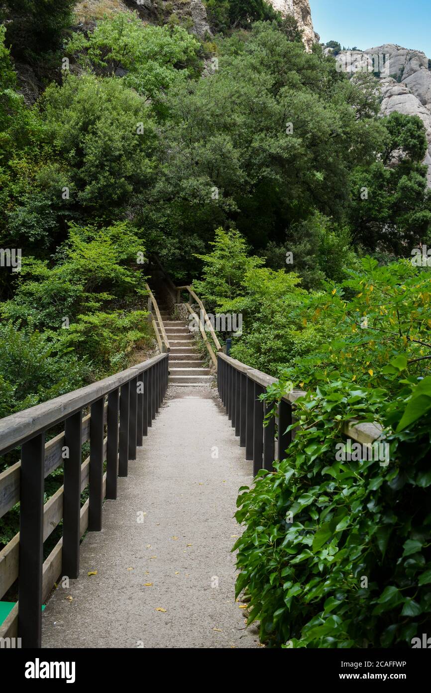 Vertical shot of a path in a forest in mountains Stock Photo - Alamy