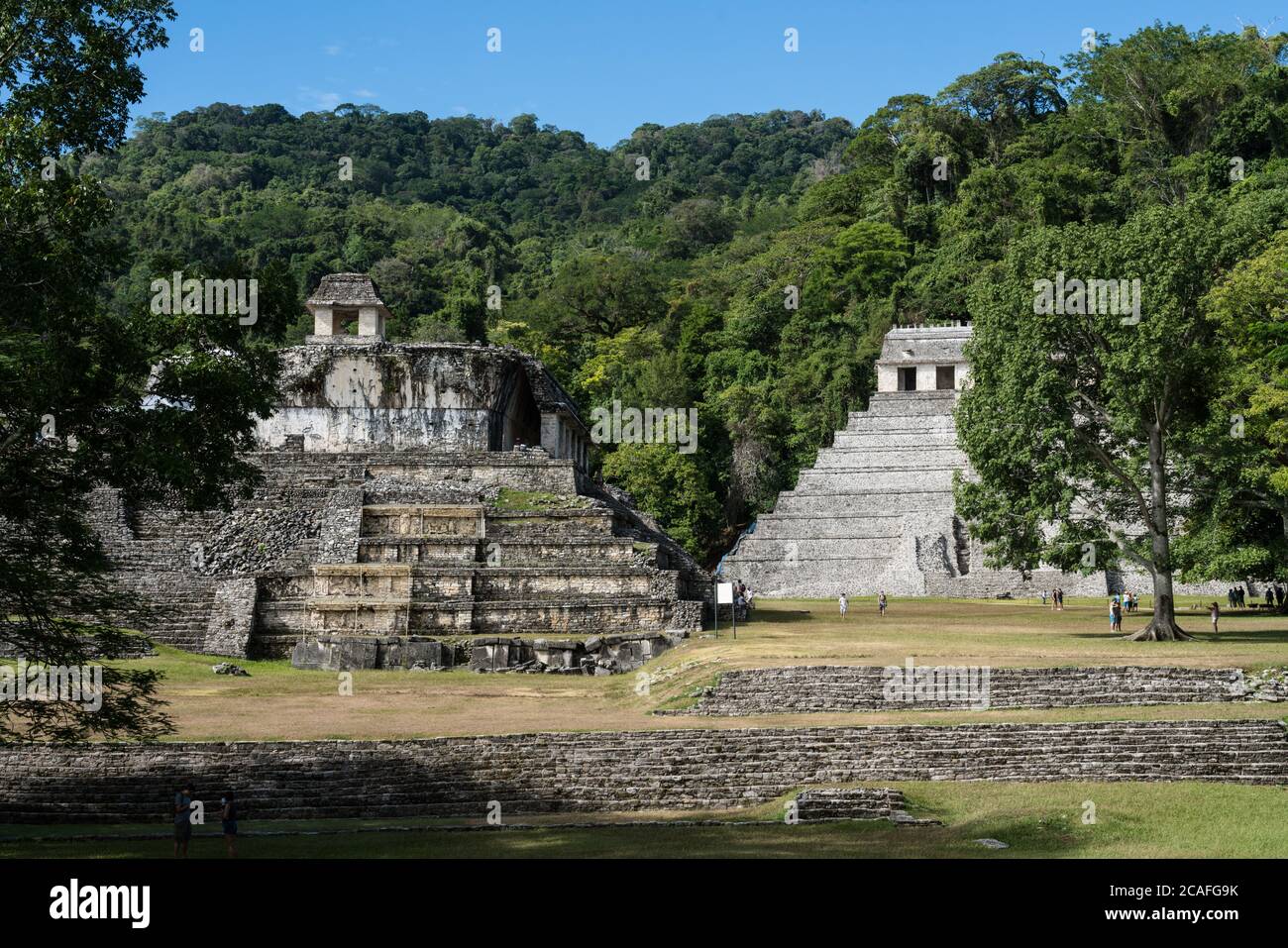 The Palace and the Temple of the Inscriptions in the ruins of the Mayan ...