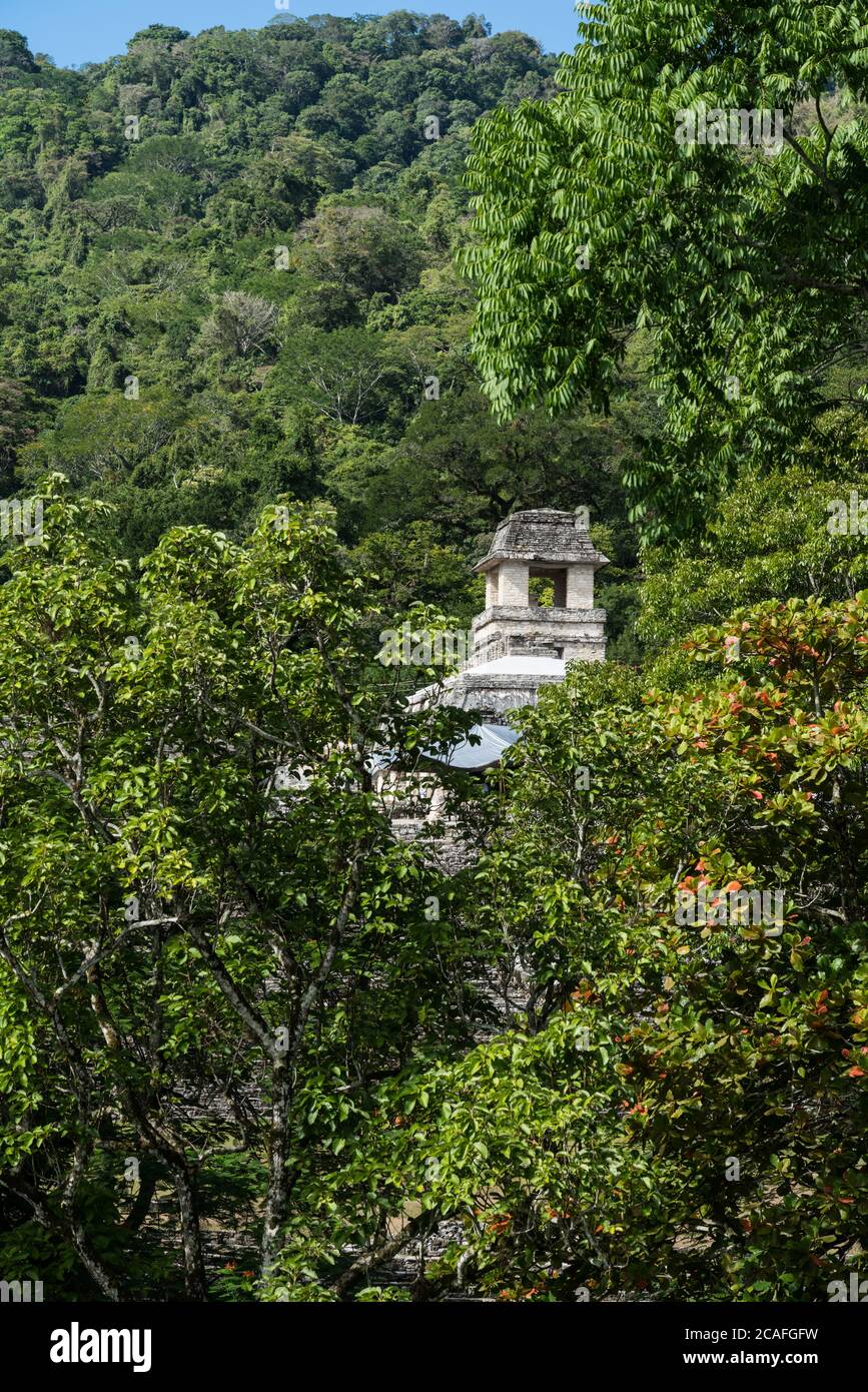 The Palace tower through the trees in the ruins of the Mayan city of ...