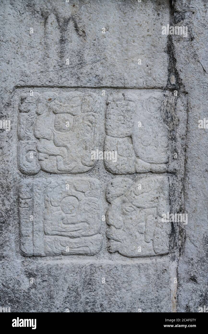Carved stone glyphs in the Palace in the ruins of the Mayan city of ...