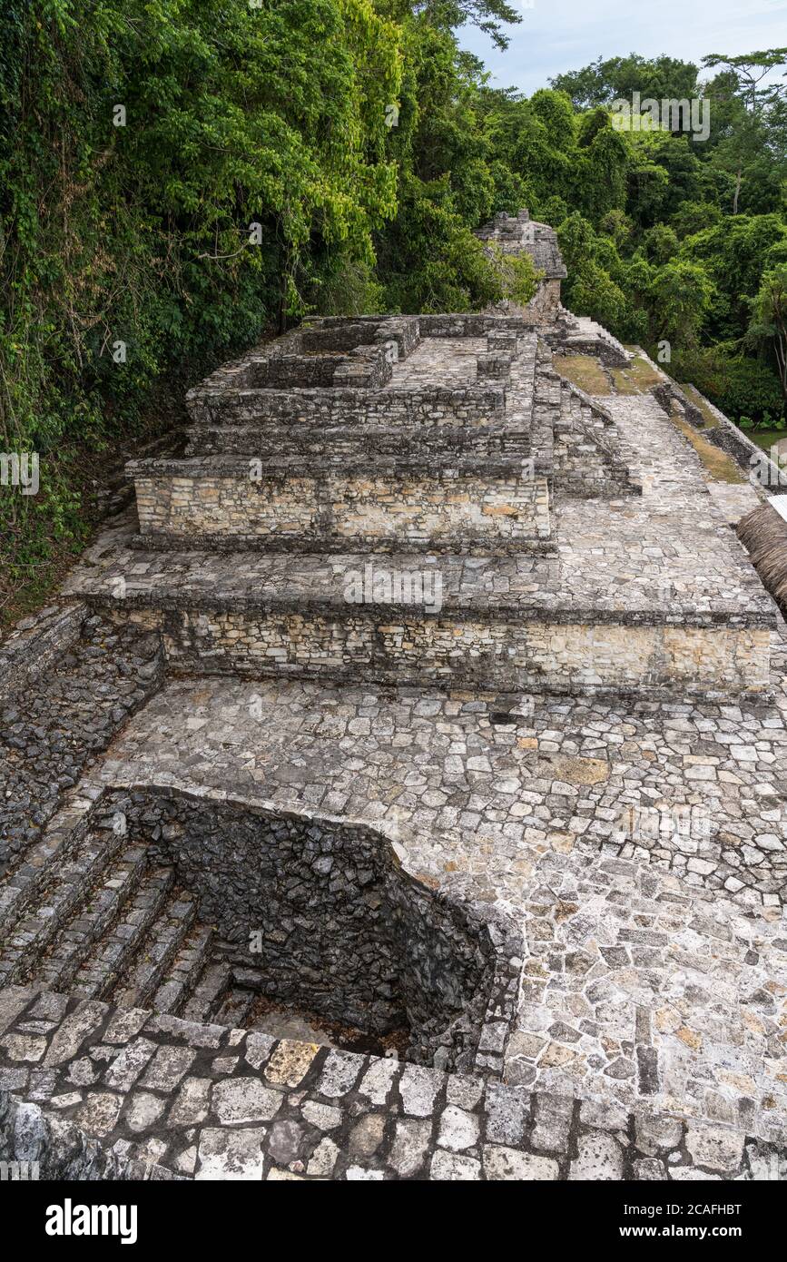 The top of the Temple of the Red Queen, or Temple XIII, in the ruins of ...