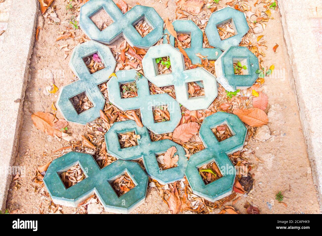 Number 8 leaves hi-res stock photography and images - Alamy