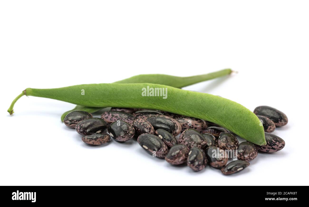 White background fire hi-res stock photography and images - Alamy