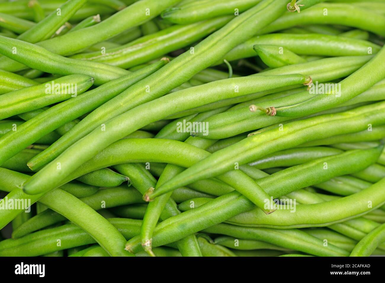 Green beans, phaseolus vulgaris, in close up Stock Photo - Alamy