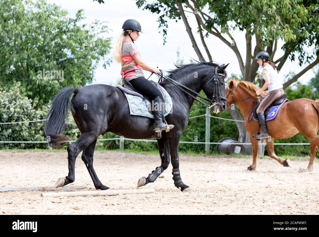 riding girl are training her horse in equestrian center Stock Photo - Alamy