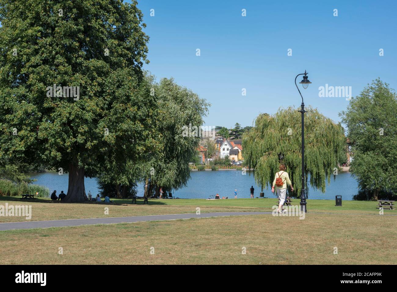 Park summer UK, rear view of a mature woman wearing a small backpack ...