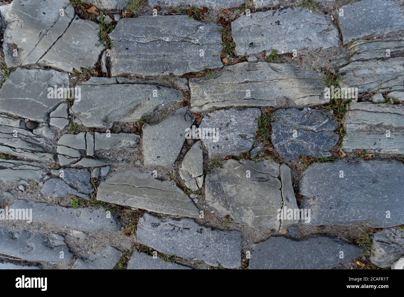 Closeup at stone path with stone of different size and grass between ...