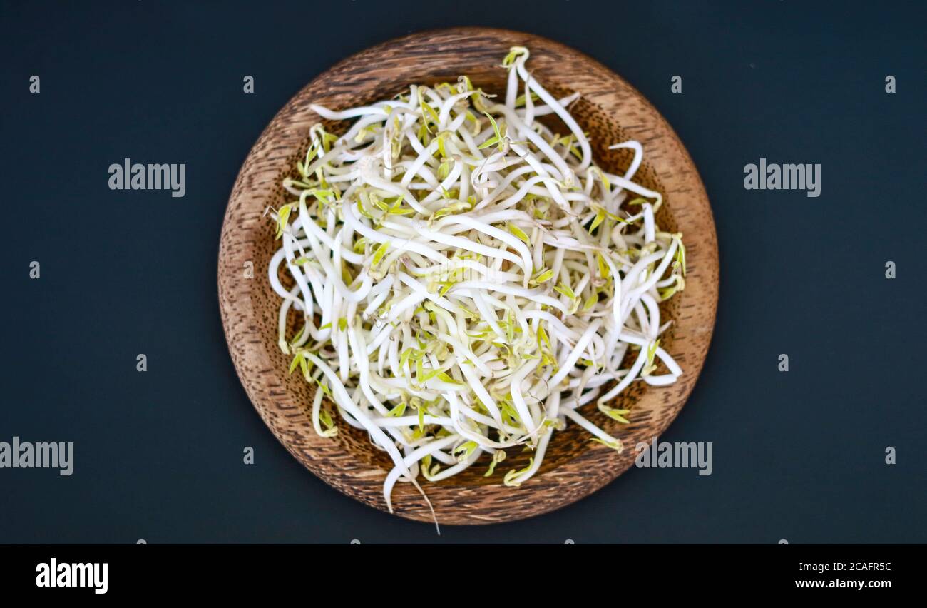 Mung bean sprouts tauge hi-res stock photography and images - Alamy